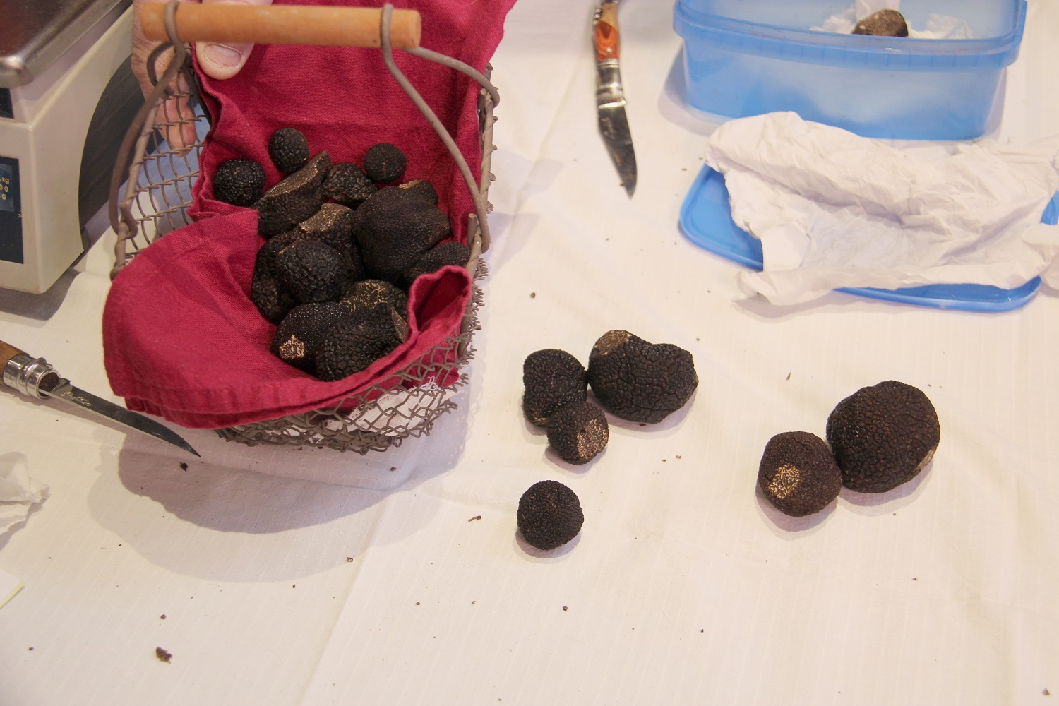 Marché aux truffes et au safran, producteur à Tours | Avis de Gourmets